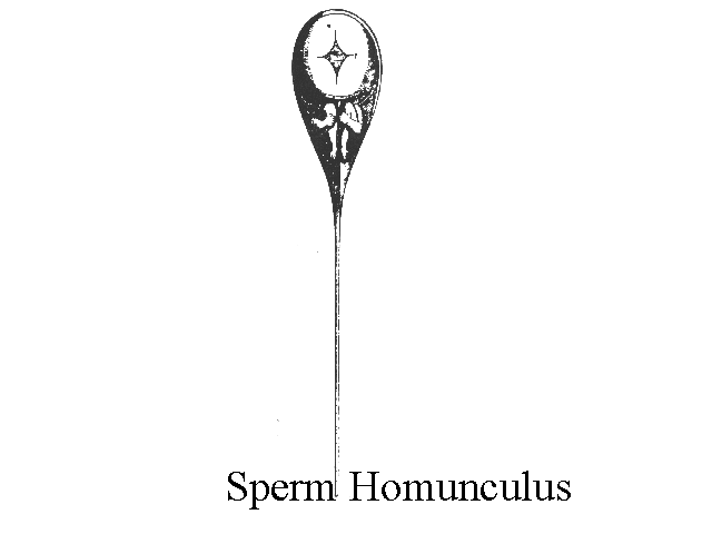 Sperm Homunculus