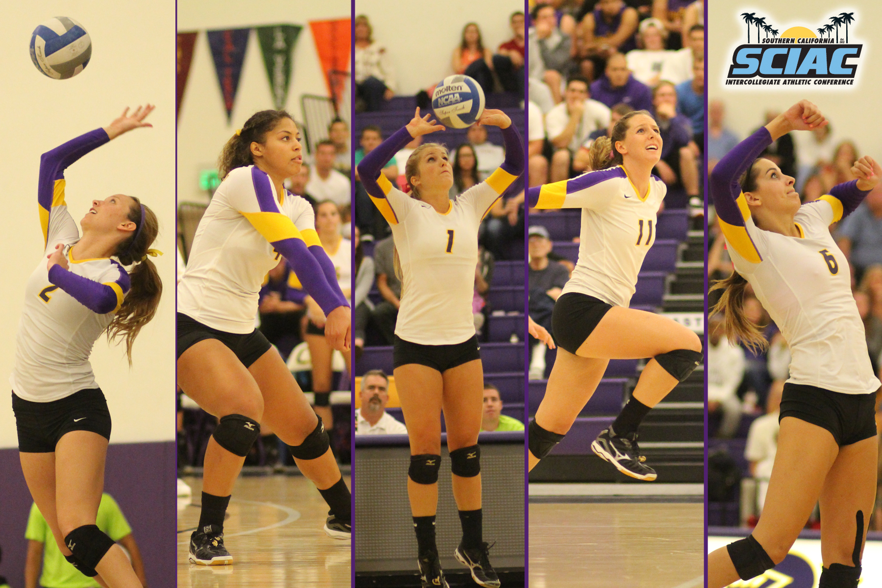 Five Regals Earn All-SCIAC Honors | California Lutheran University