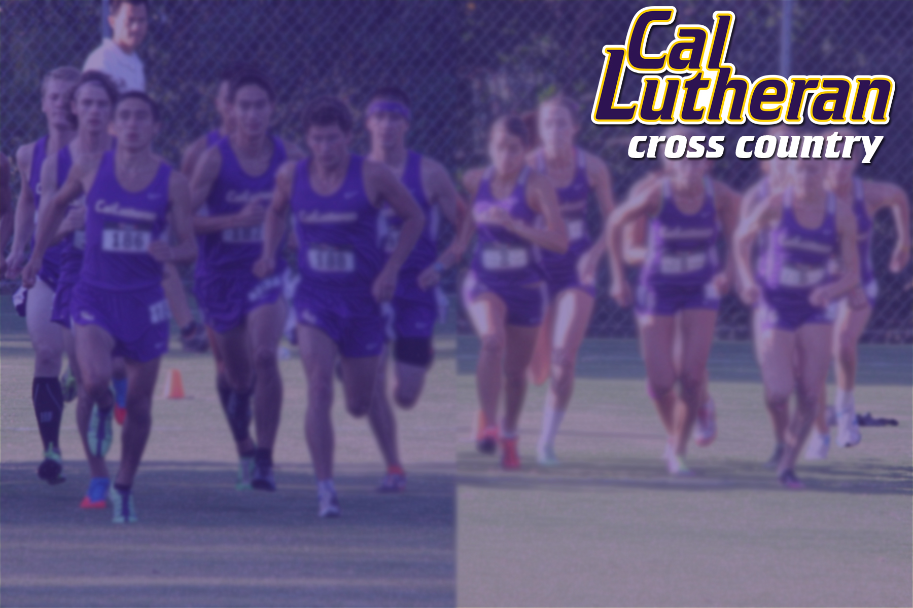 Cross Country Announces 2014 Schedule | California Lutheran University