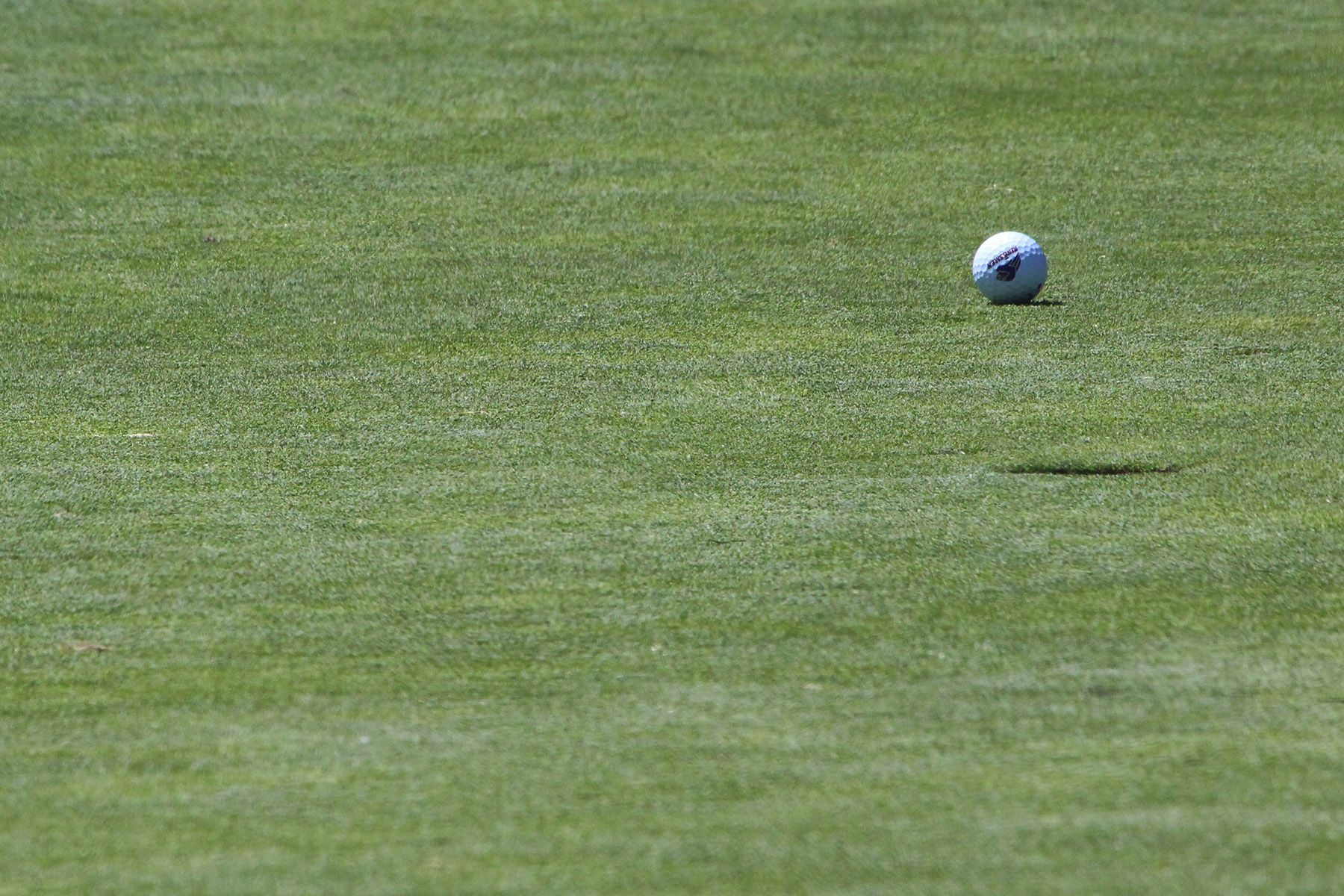 Kingsmen Golf Opens Season No. 18 | California Lutheran University