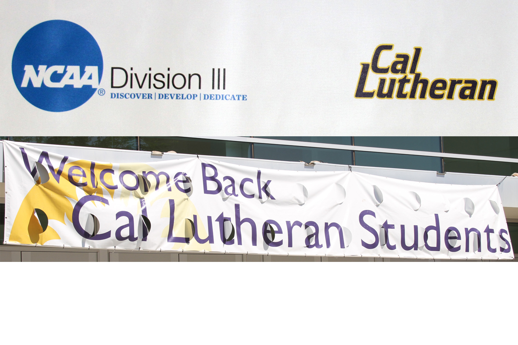 The Buzz is Back as Athletes Report | California Lutheran University